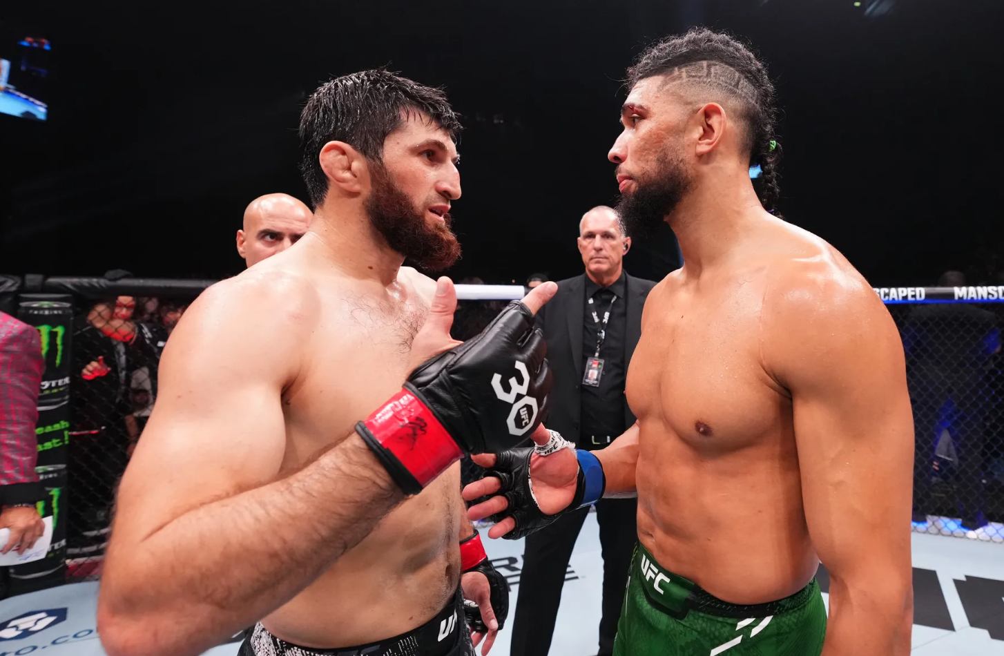 UFC Vegas 84: Ankalaev vs. Walker Main Event Prediction UFC Vegas 84: Ankalaev vs. Walker Main Event Prediction